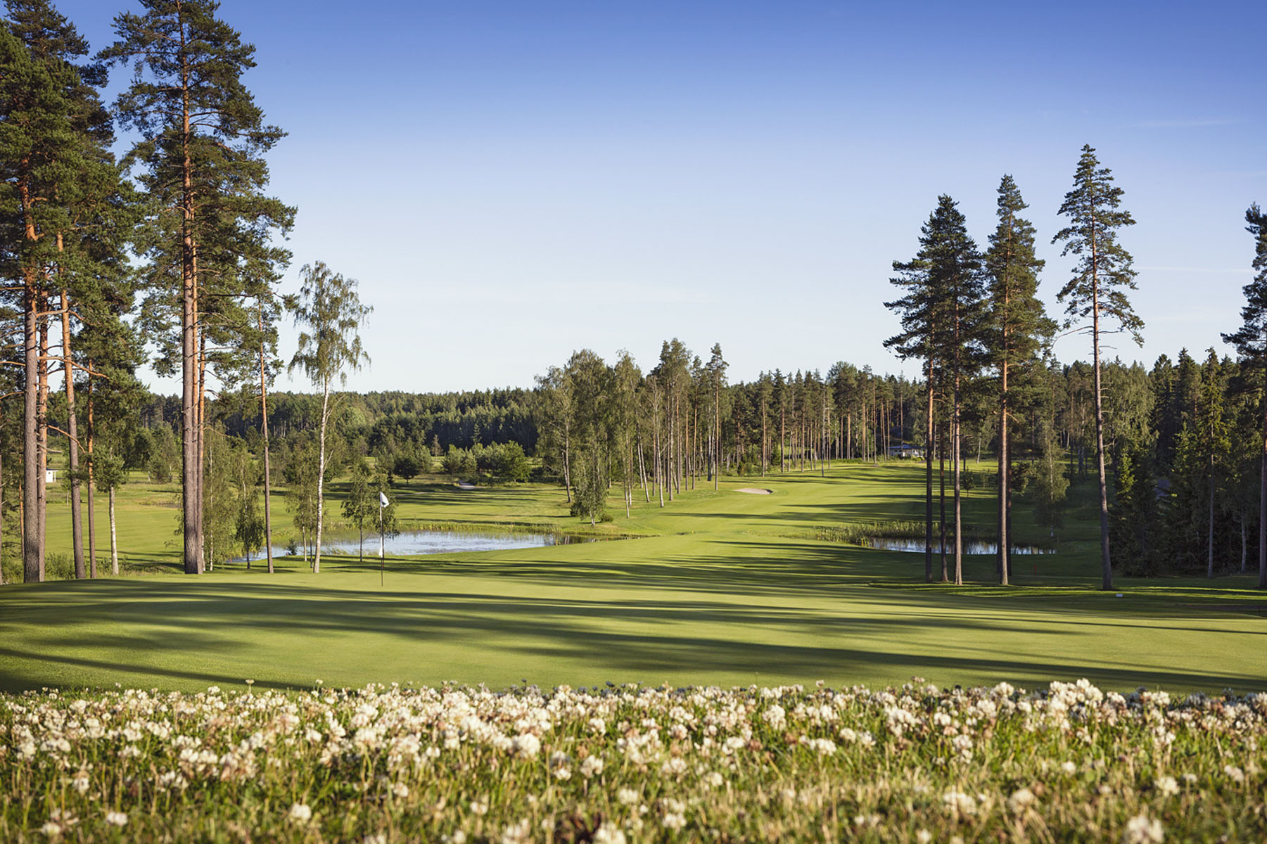 Pickalan toimitusjohtaja vaihtuu - Golfpiste.com
